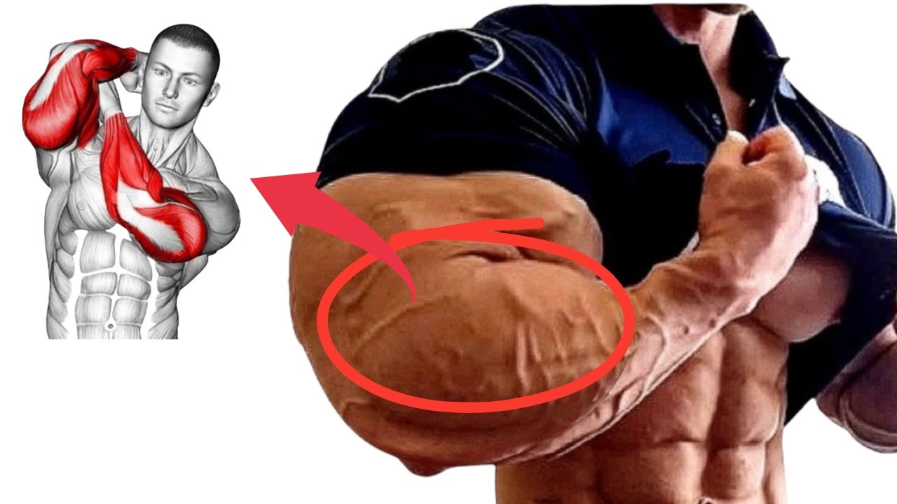 How to Grow Bigger Arms Supersets Workout - YouTube