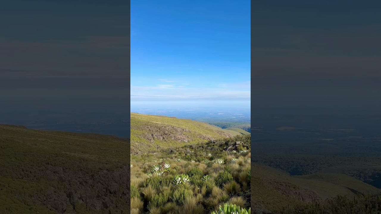 4th Mt Kenya Day Dash - YouTube