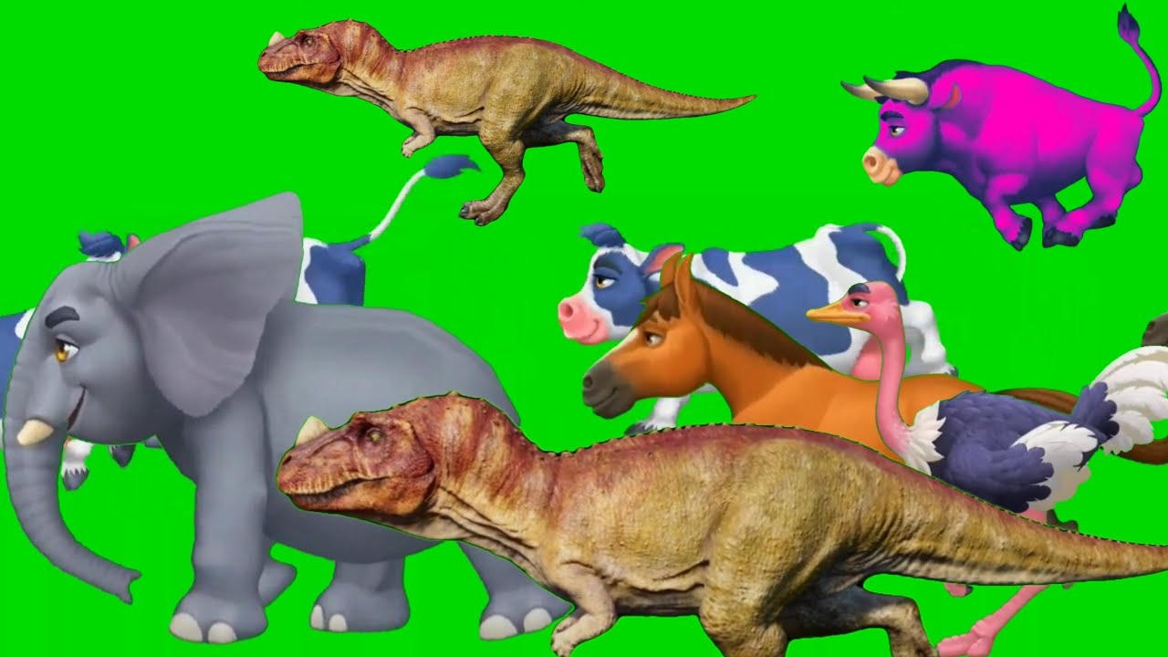 Animals Stampede Green Screen Remake / Green Screen no Copyright - YouTube