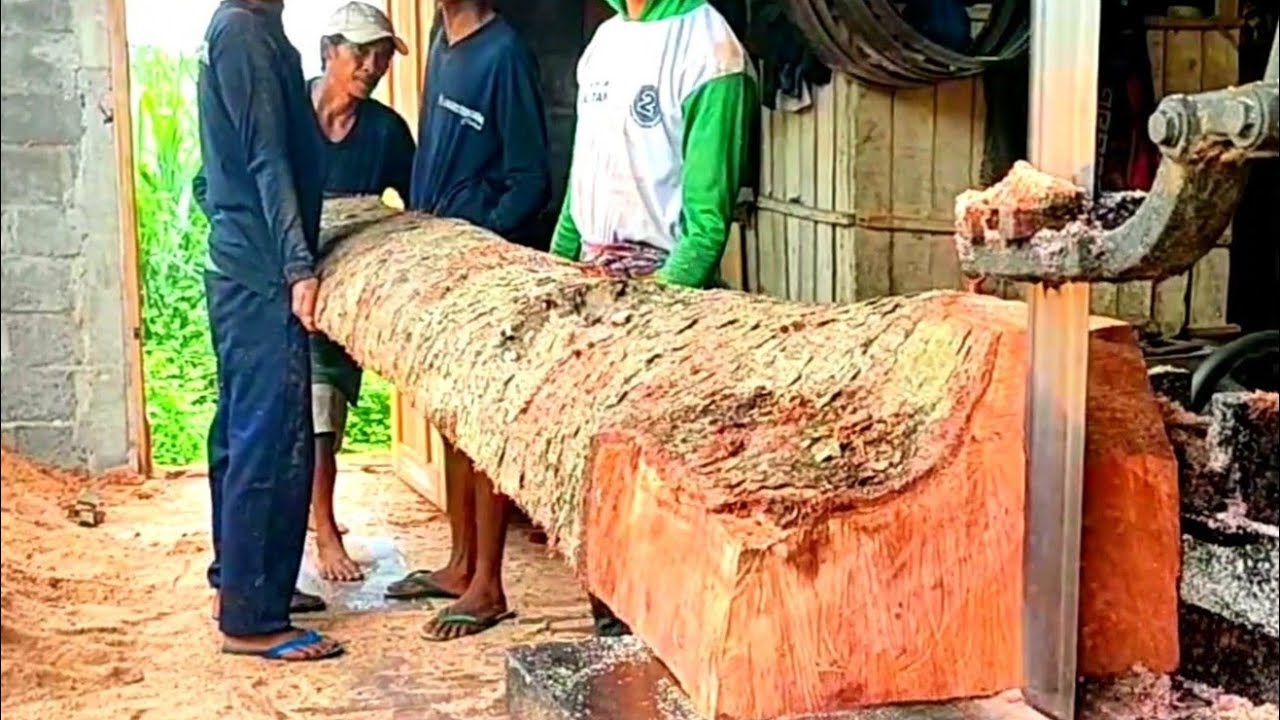 Full HD,,!! Pemotongan Kayu Bayur Merah Terbesar Dan Berbahaya... - YouTube
