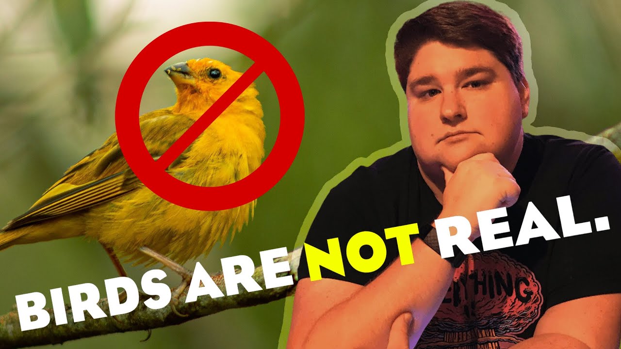 Are Birds Even Real? Science Says... | The First Podcast #197 w/ Dave ...