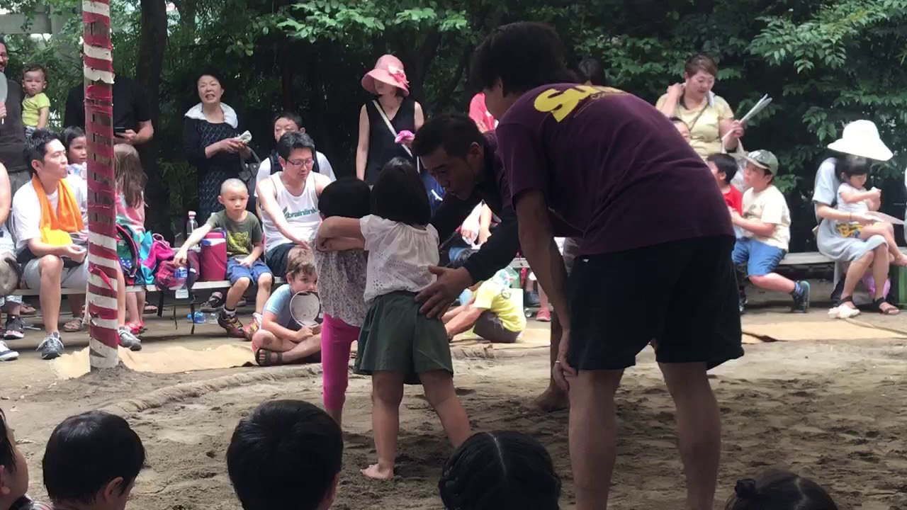 SUMUO KIDS | #shorts Japanese Sumo wrestling - YouTube