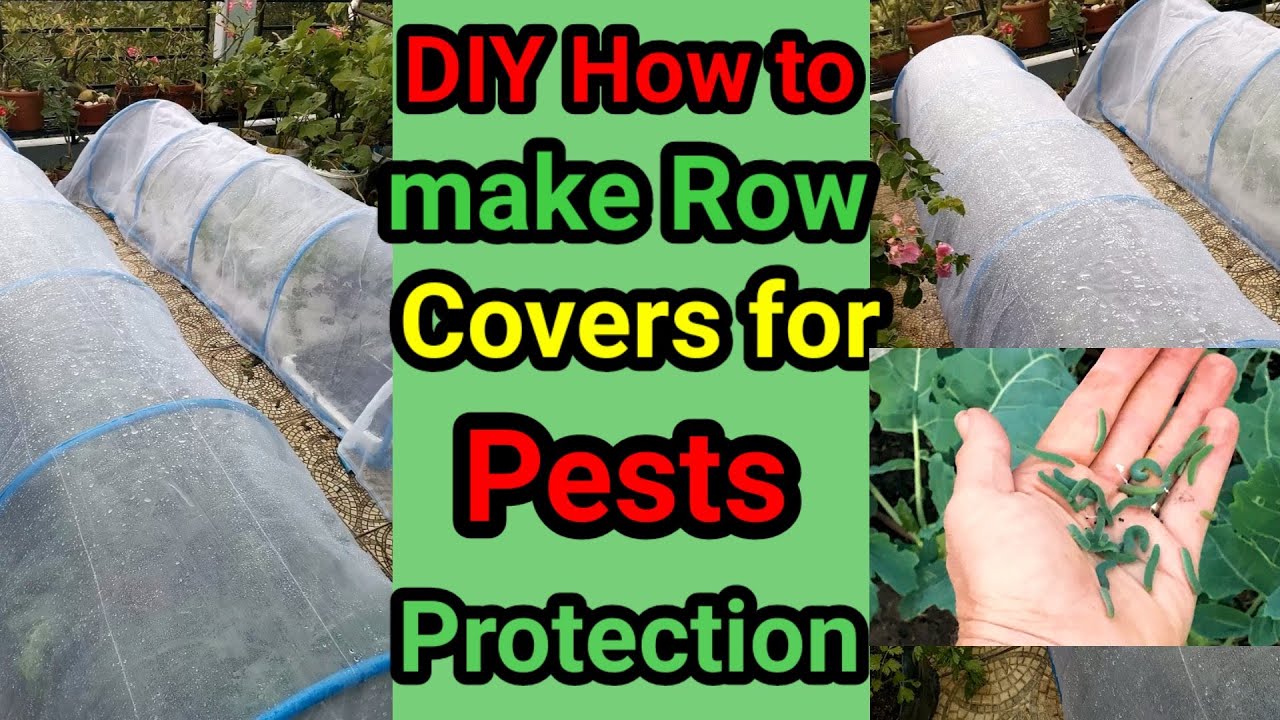 DIY HOW TO MAKE ROW COVER FOR PESTS PROTECTION - YouTube