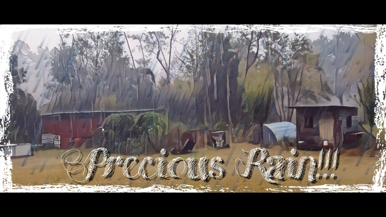 Precious Rain!!! - YouTube
