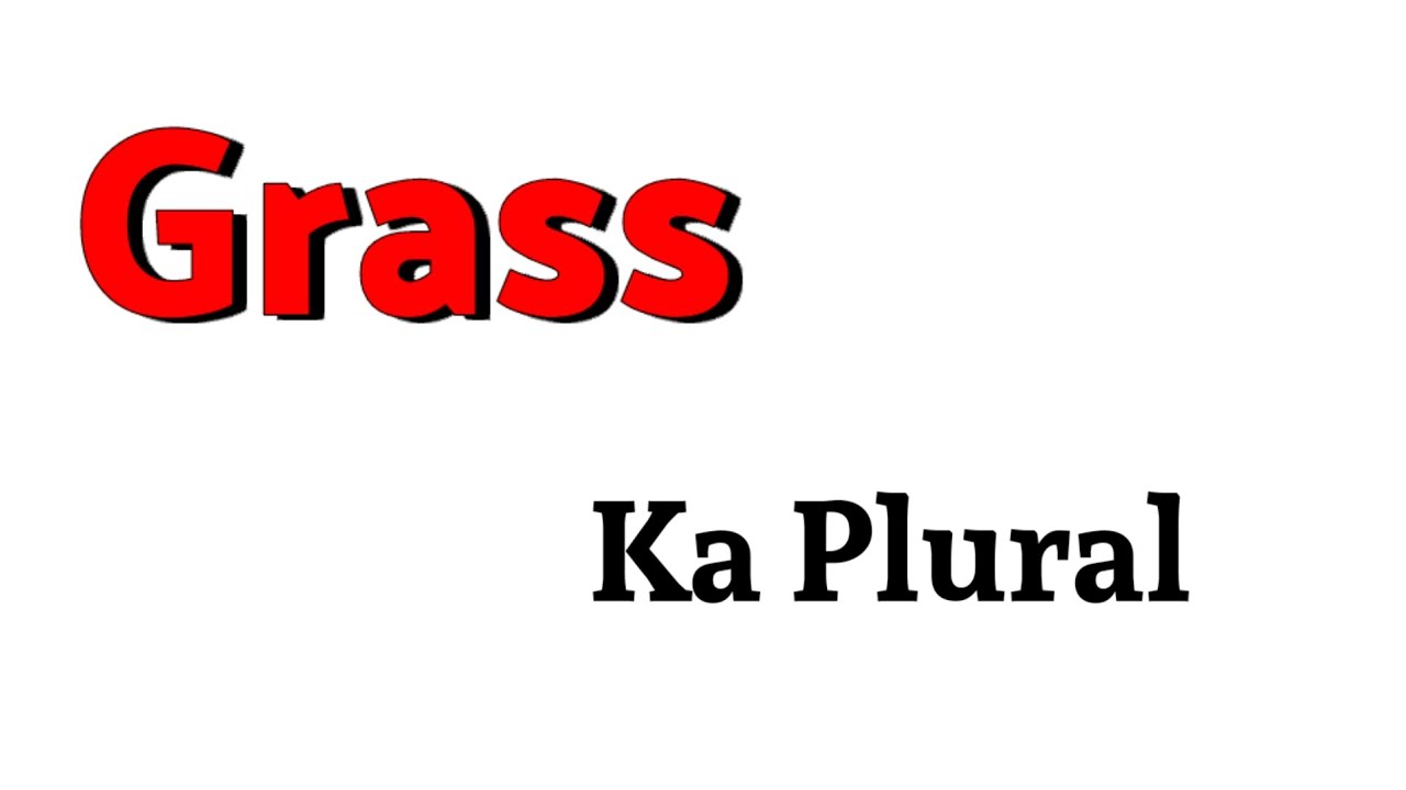 grass ka plural / grass ka plural form / grass ka plural word / plural ...