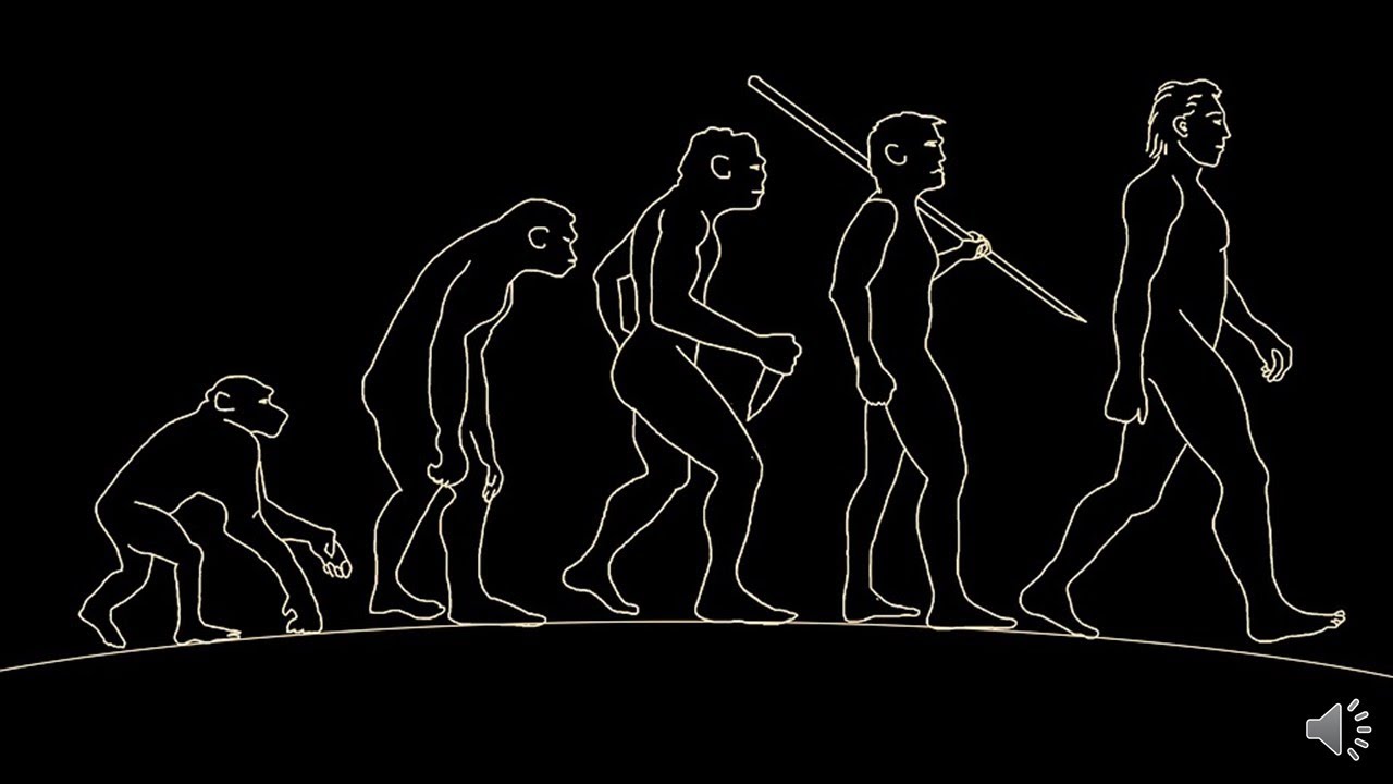 Evolution and Uniformitarianism - YouTube