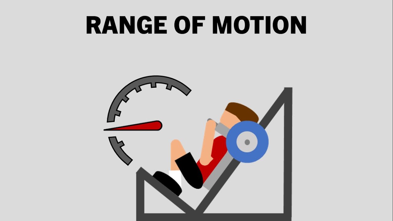 Muscle Range of Motion | Exercise Selection for Hypertrophy Training ...
