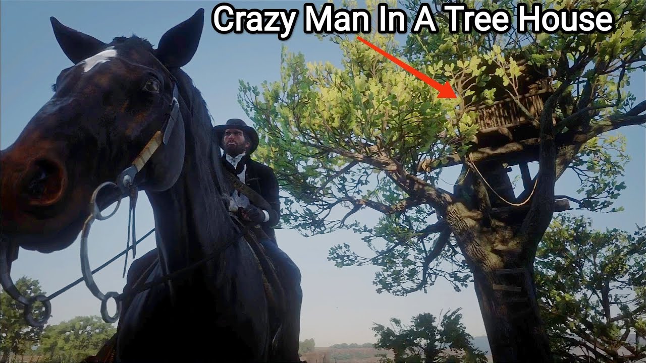 Can You Save The Crazy Man Stuck Inside A Tree House? (All Outcomes ...