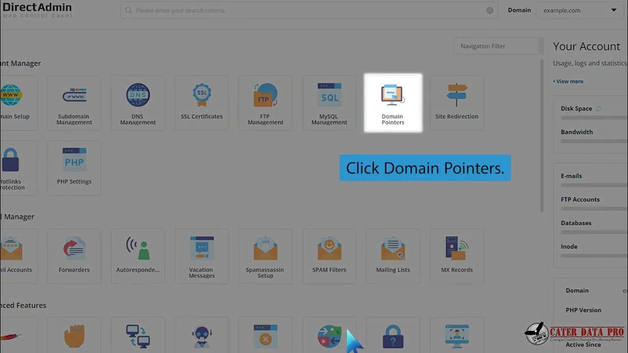 How To Remove Domain Pointer In Directadmin Cater Data Pro Youtube