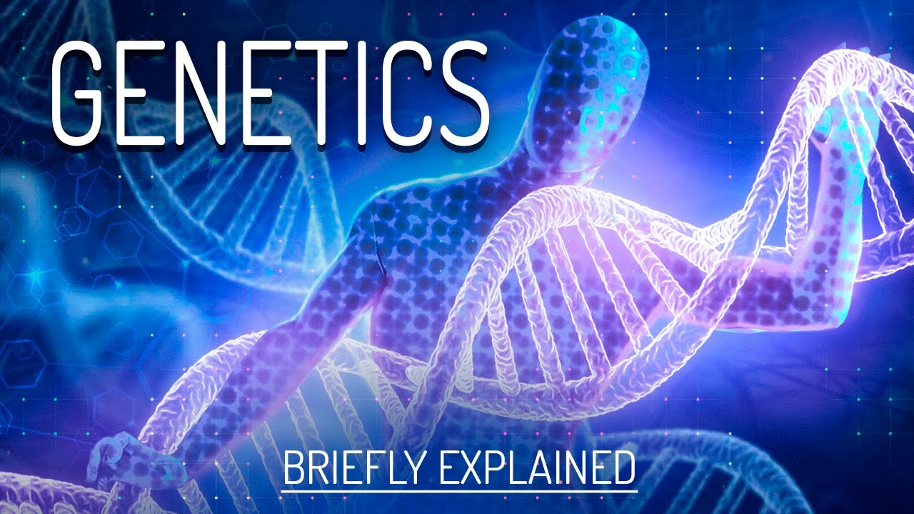 Genetics. Briefly Explained. - YouTube