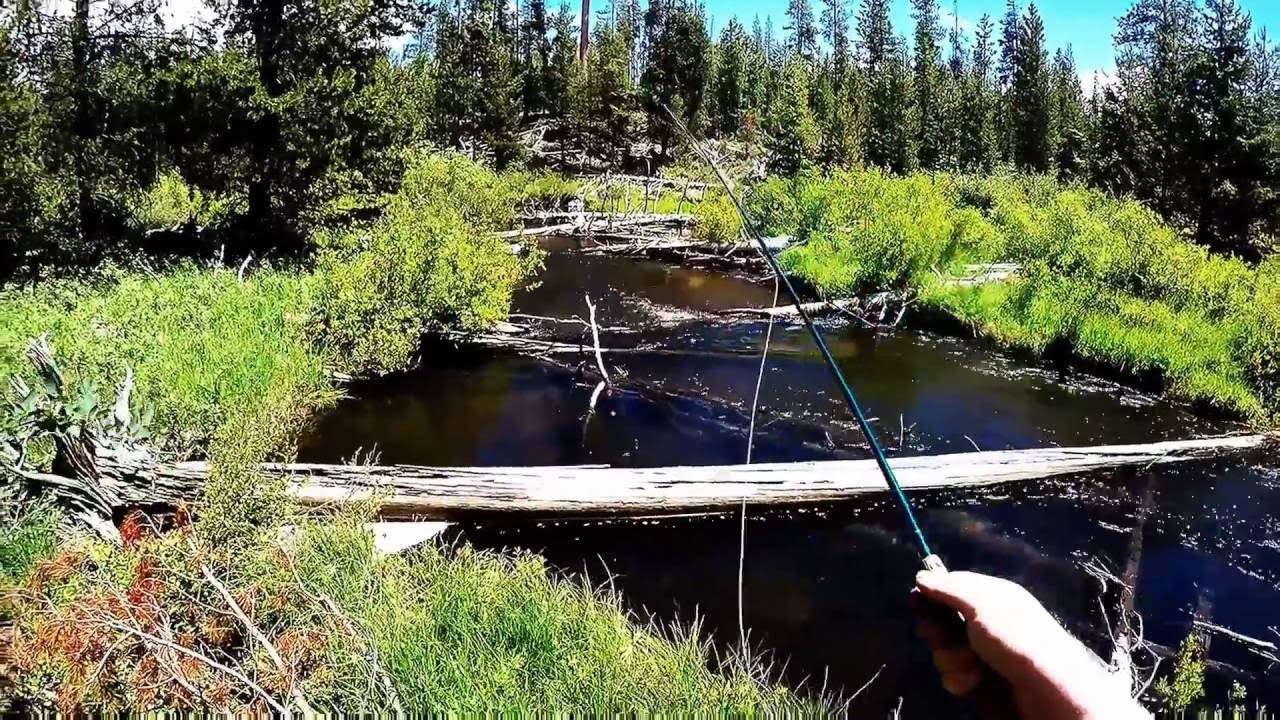 Fishing and Fawn Lake - YouTube