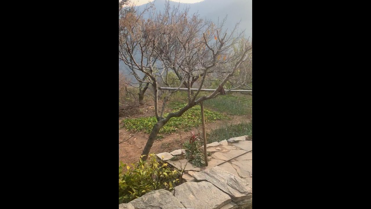 Kanda village with its scenic beauty - YouTube