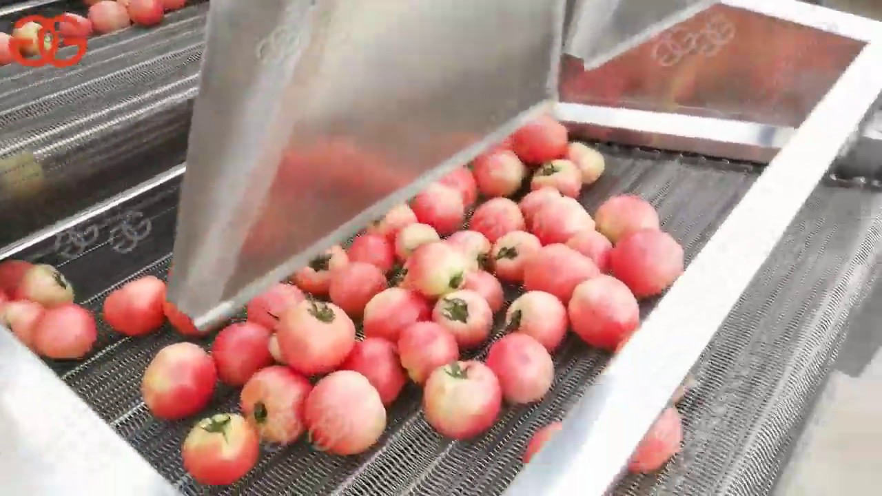 Tomato Washing Cleaning Machine|Fruit And Vegetable Washer - YouTube