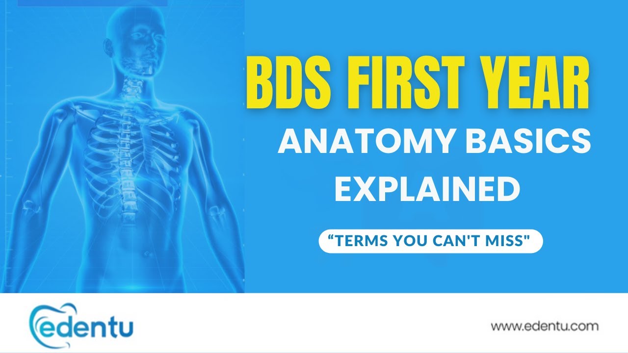 ANATOMY BASICS EXPLAINED | BDS FIRST YEAR | BDS | EDENTU - YouTube