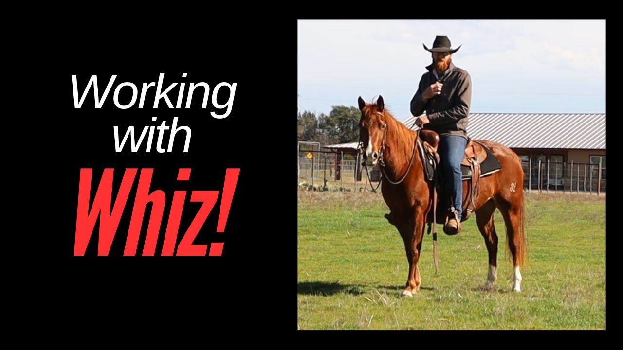 Working with Whiz! - YouTube
