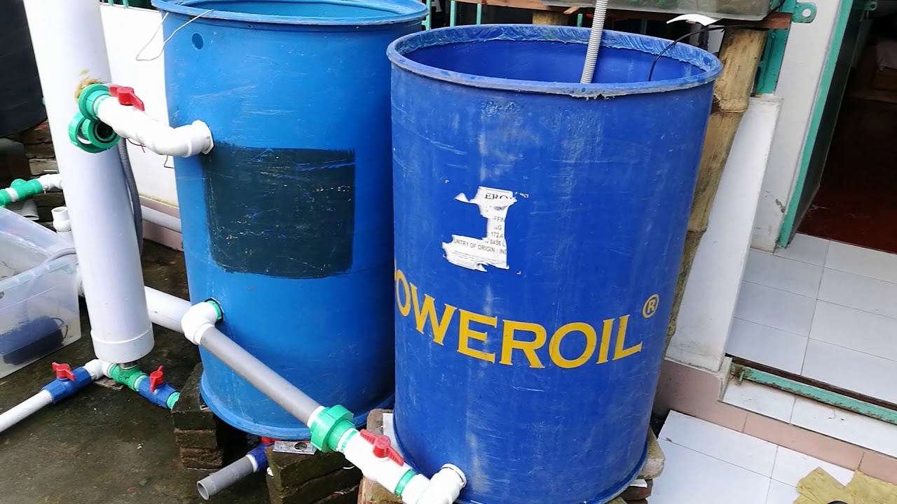 Ras Biofloc Alas method indoor fish farming আলাস পদ্ধতিতে সহজ মাছচাষ ...