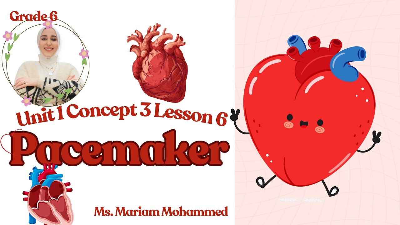 Grade 6 | Unit 1 | Concept 3 | Lesson 6 | Pacemaker - YouTube