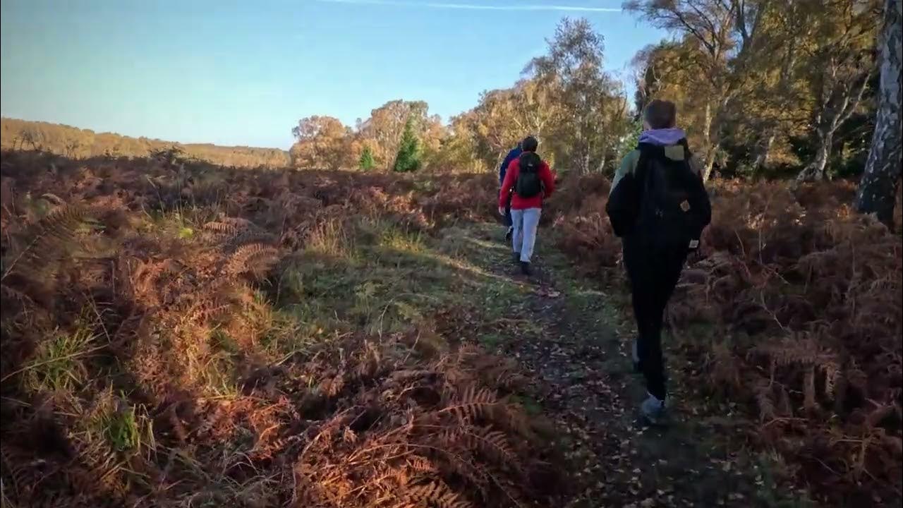 27/10/24 Cannock chase - YouTube