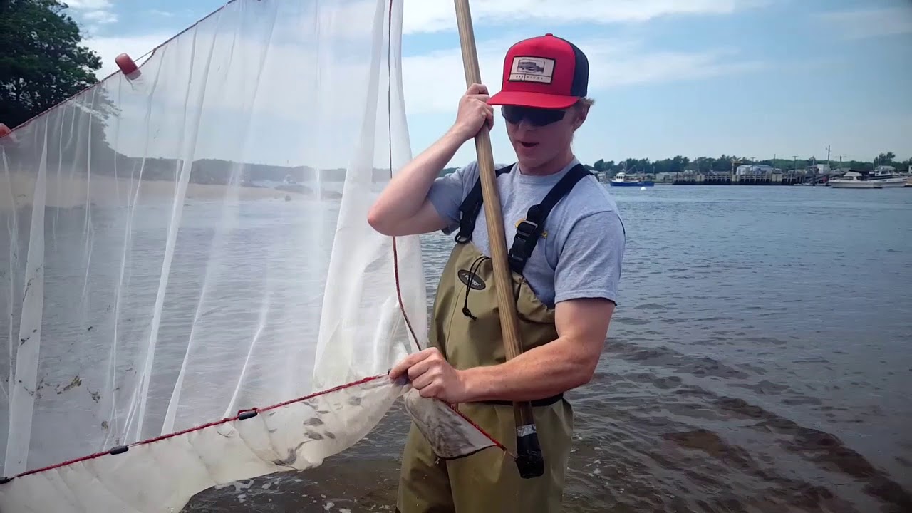 UNE Seine Netting Research in Maine - YouTube