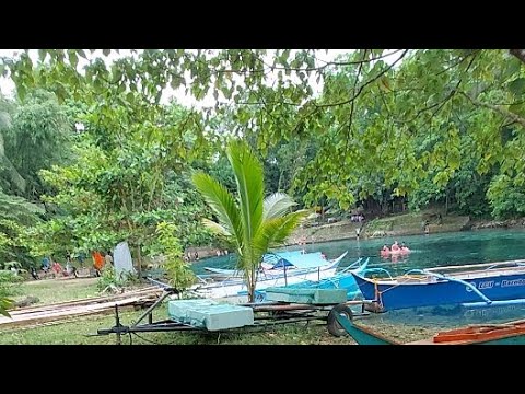 Bugac Cold Spring - YouTube