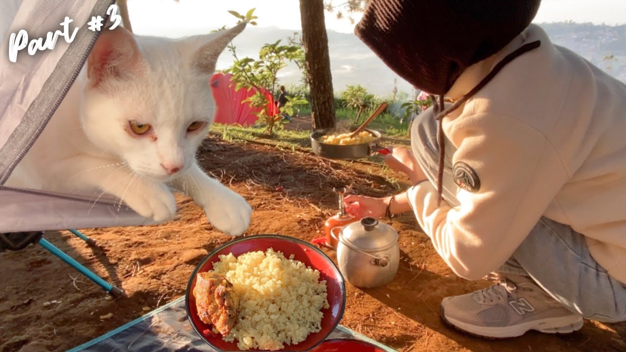 CHEERFUL CAMPSITE, VERY LIVELY! CAMPING AND COOKING, SURROUNDED BY LOTS ...