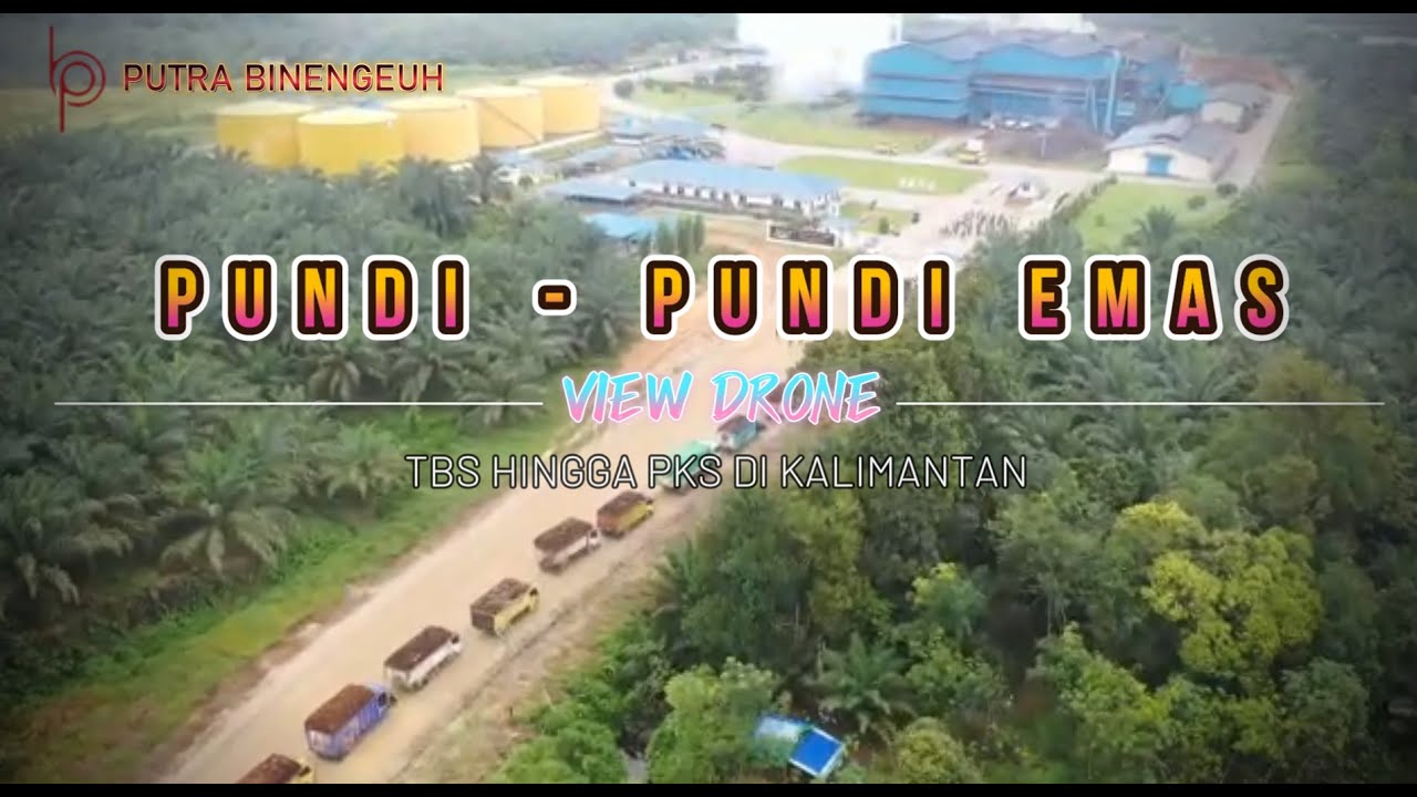 PUNDI-PUNDI EMAS KALIMANTAN BARAT DARI BERONDOL SAWIT - YouTube