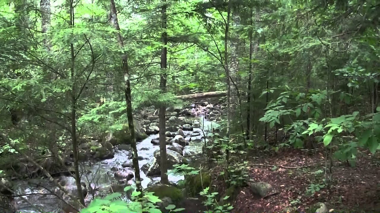 Hiking - Haystack Mountain. Adirondack Park. Ray Brook, NY - YouTube