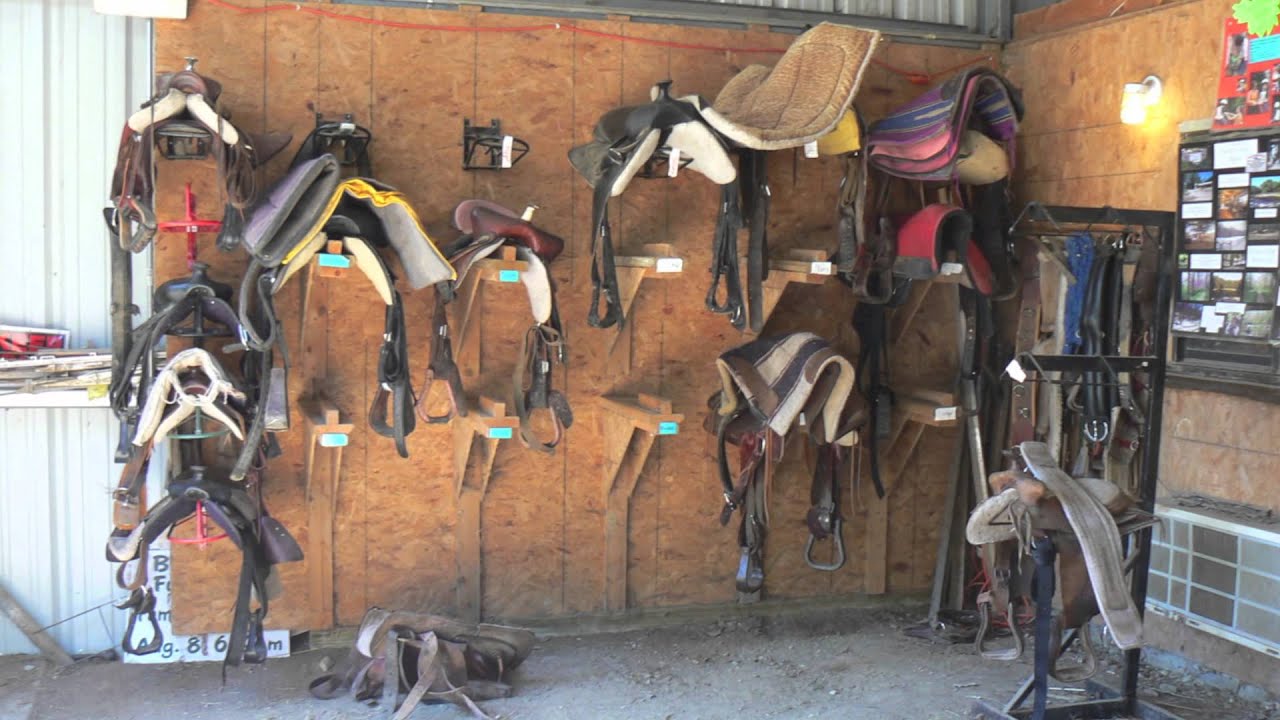 Spring Break and Summer Horse Camp at Natural Valley Ranch - YouTube