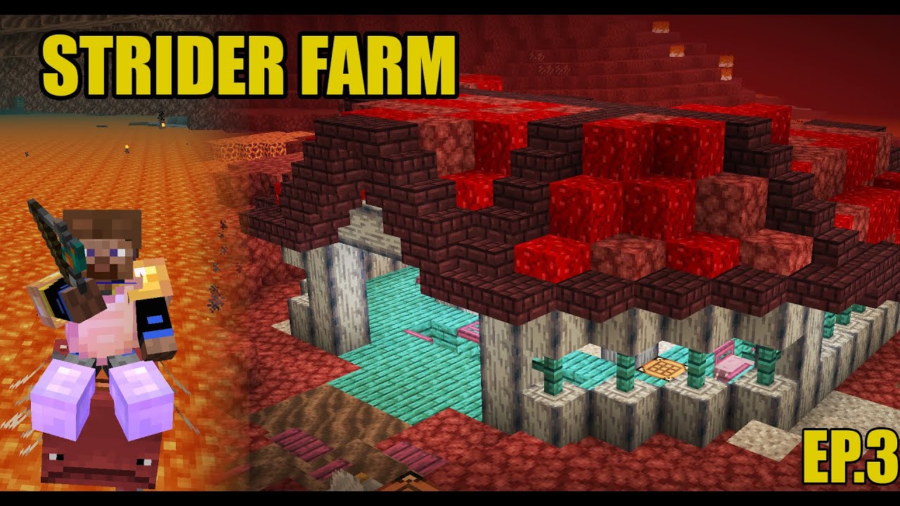 Nether Minecraft let's play ep.3 - Strider farm - YouTube