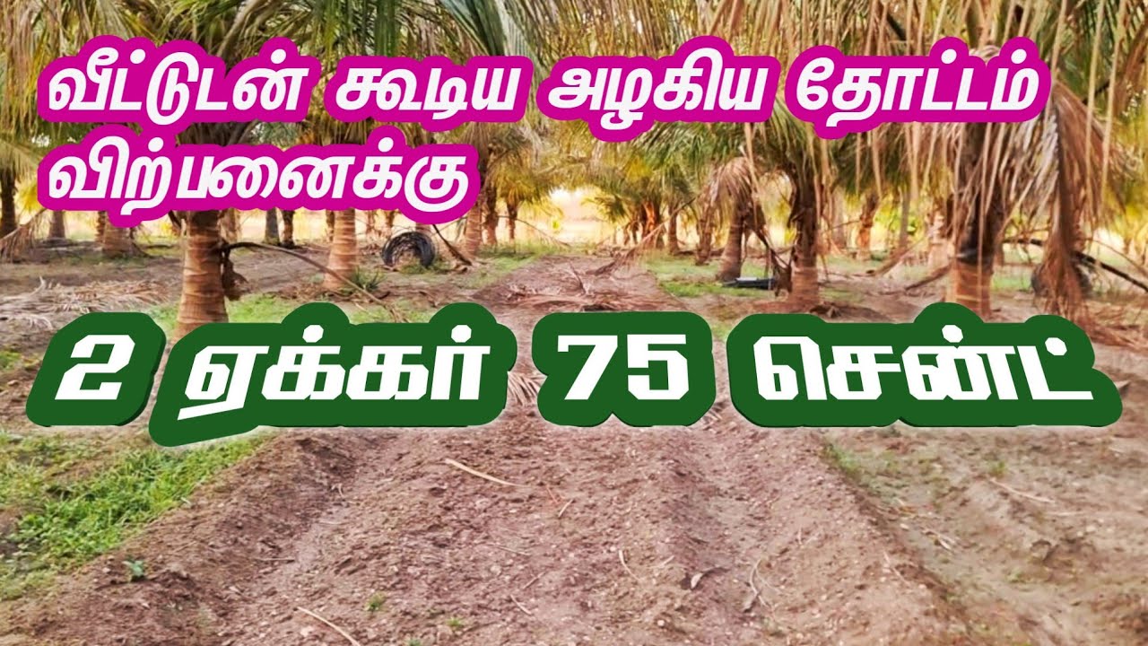 2 acre 75 cent🏹 agriculture land sale in salem🌴 - YouTube