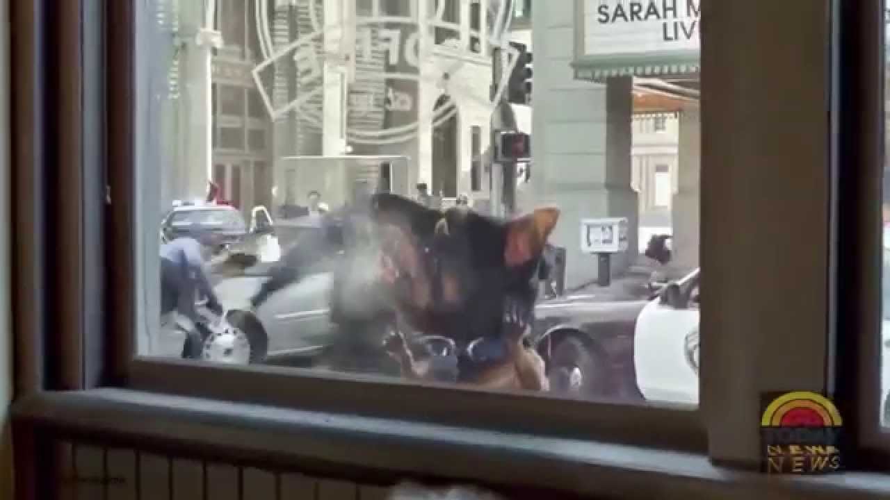 Audi Superbowl Edited Commercial 2014 - Doberhuahua Edited - YouTube