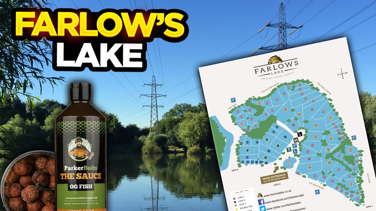 Post Spawn Spring Carp Fishing Session At Farlow's Lake - YouTube