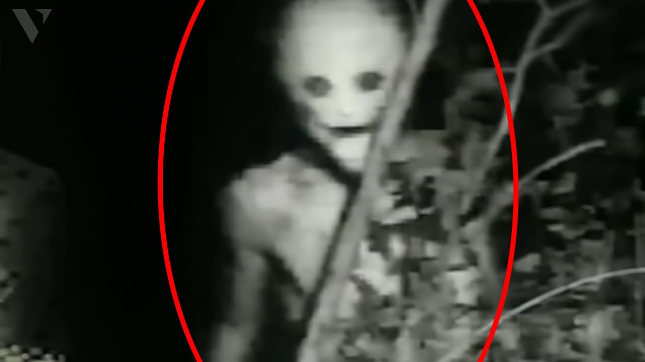 "100% They're NOT Human" - Marine Witnesses REAL Aliens and UFO - YouTube