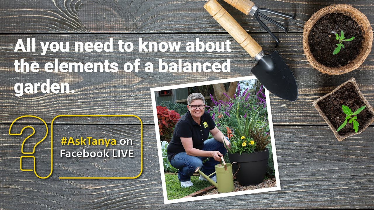 Garden Masterclass LIVE with Tanya Visser - YouTube