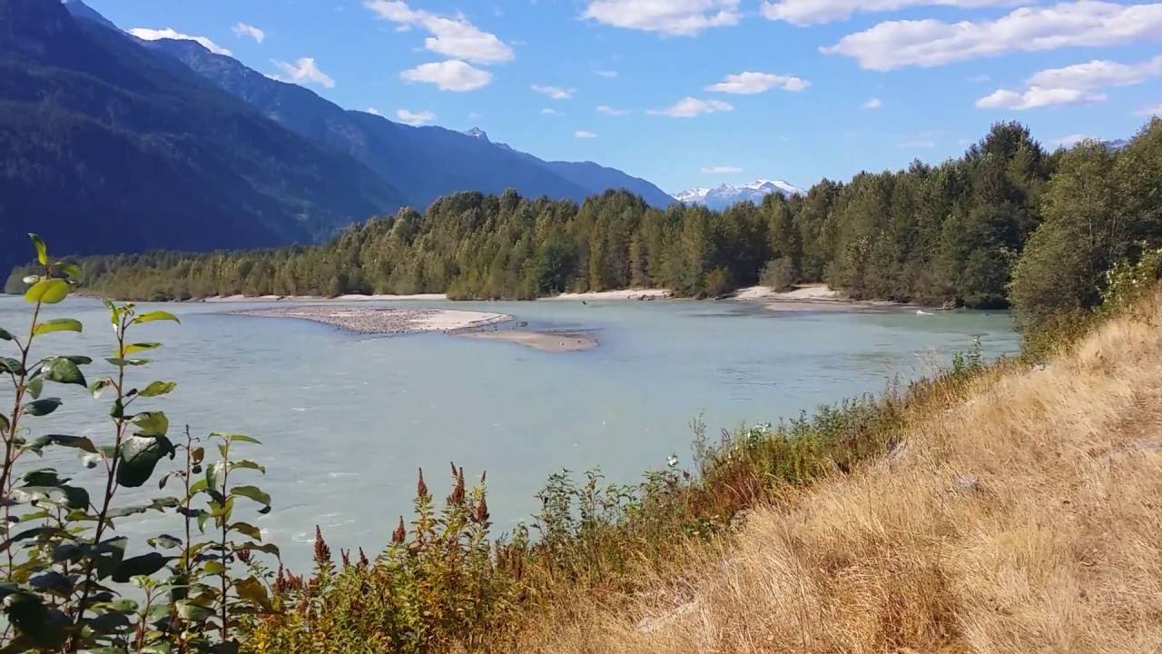 Brackendale Eagles Provincial Park - YouTube