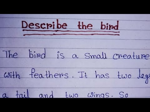 Describe the bird // English paragraph writing // Short essay writing ...