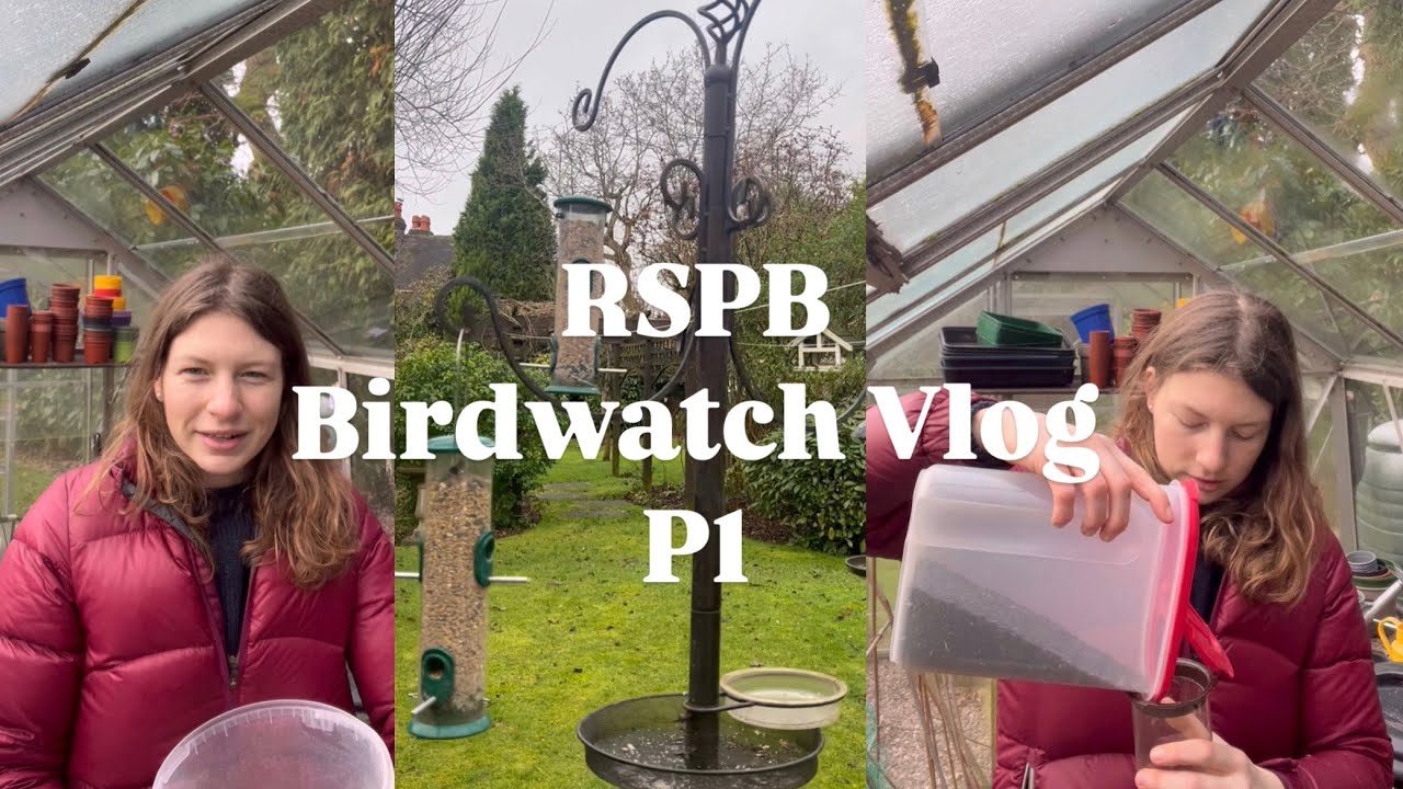 RSPB BIG Garden BirdWatch 2025 Vlog P1 | preparing for the count🐦‍⬛ ...