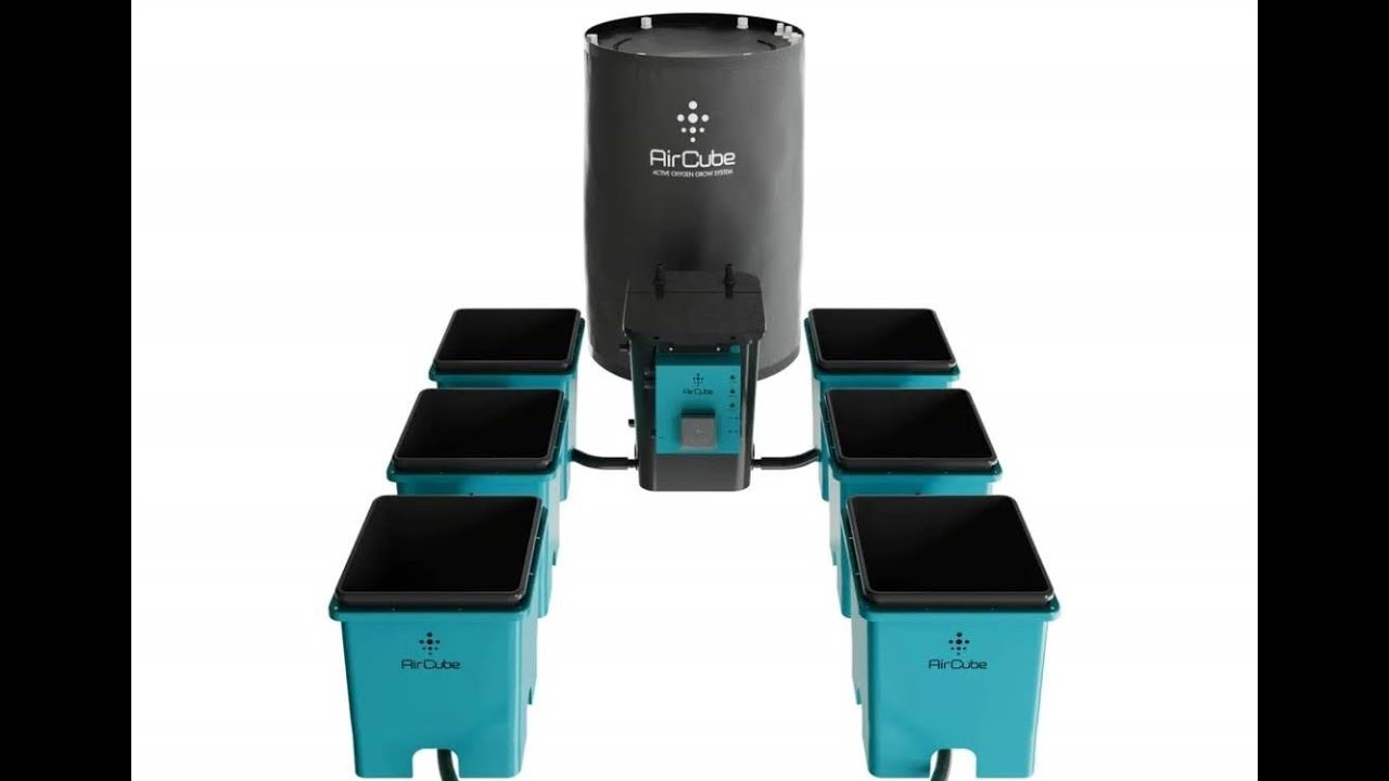 AirCube 6 site system from Grow Ace unboxing and Honest Review Ebb and ...