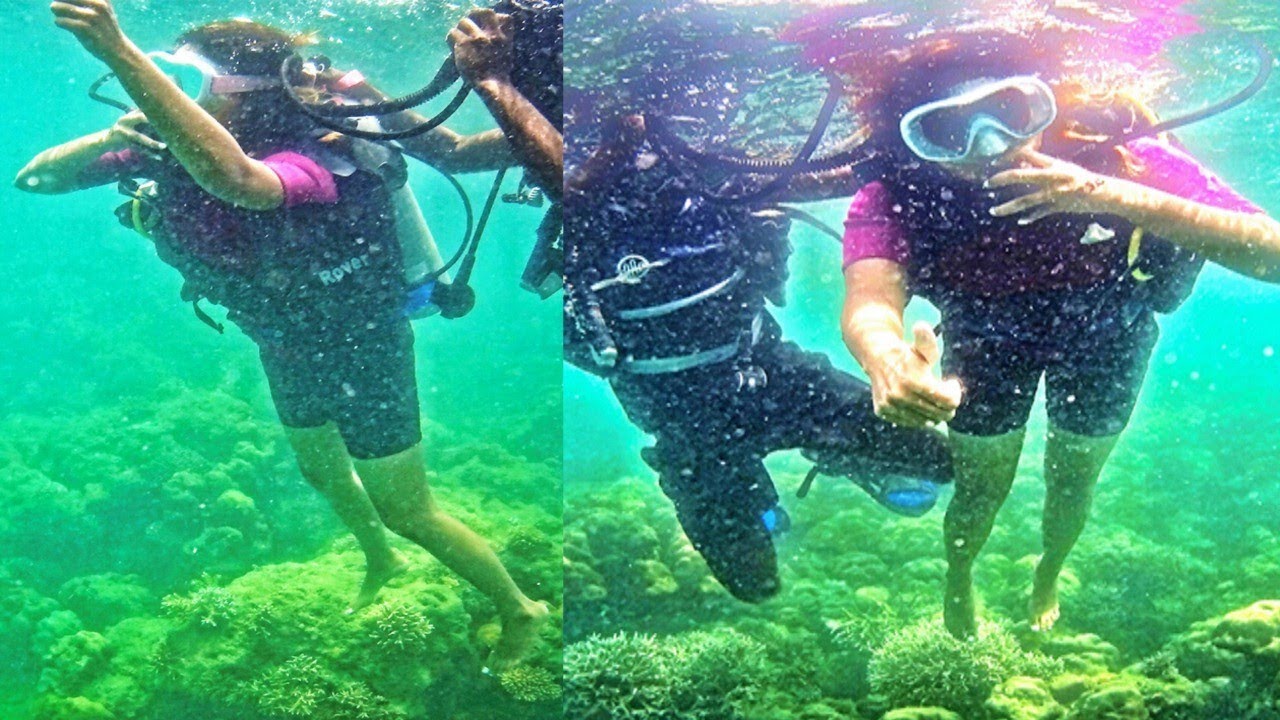 Scuba Diving🌊and Snorkeling🤿in Havelock Island,Andaman💚Nemo Reef ...