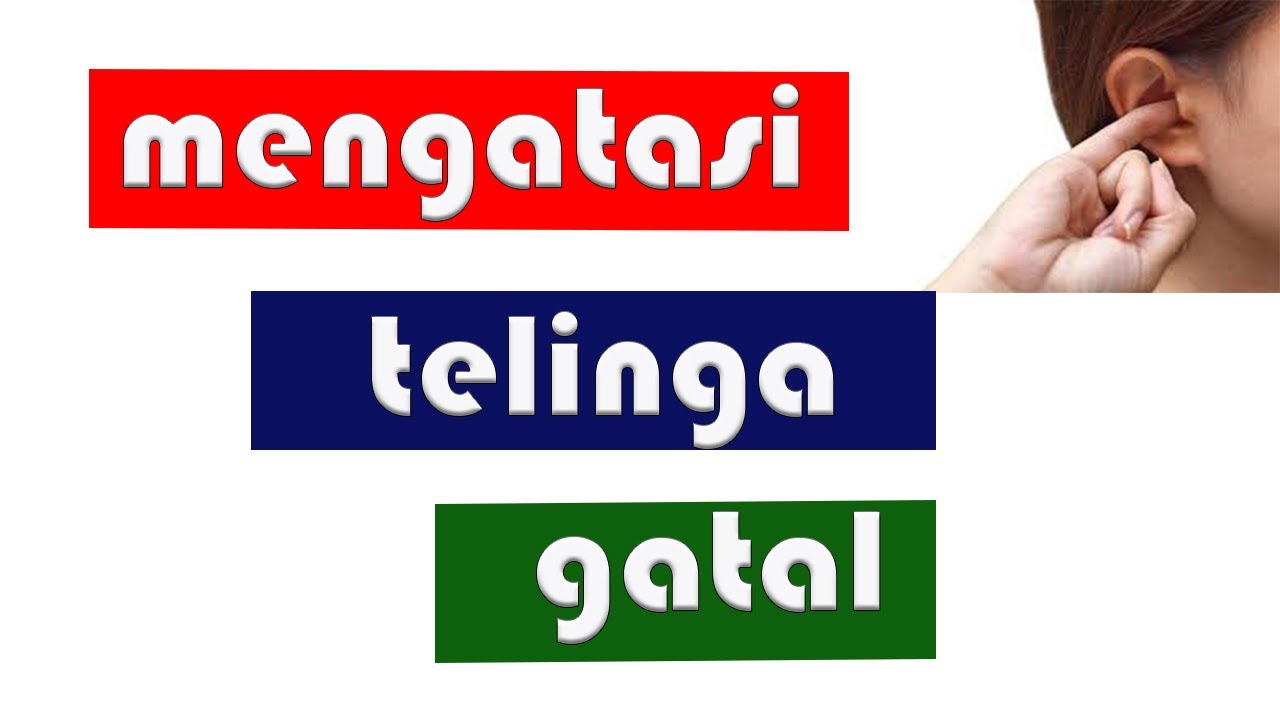 CARA MENGATASI TELINGA GATAL || PENYEBAB TELINGA GATAL - YouTube