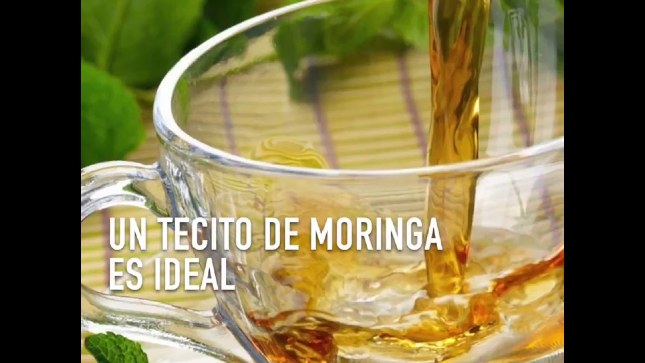 Beneficios del té de Moringa! - YouTube