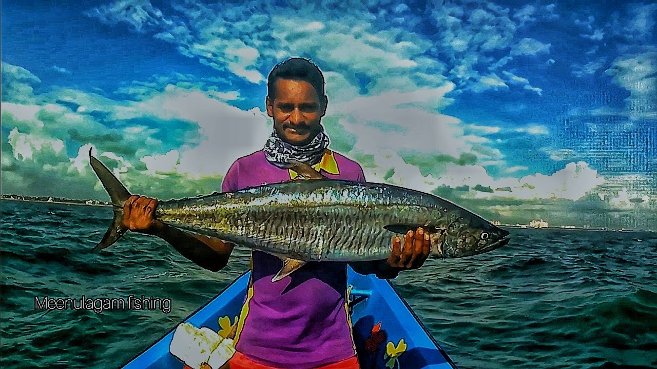 Slow trolling of live baits MONSTER KINGFISH catching at offshore - YouTube