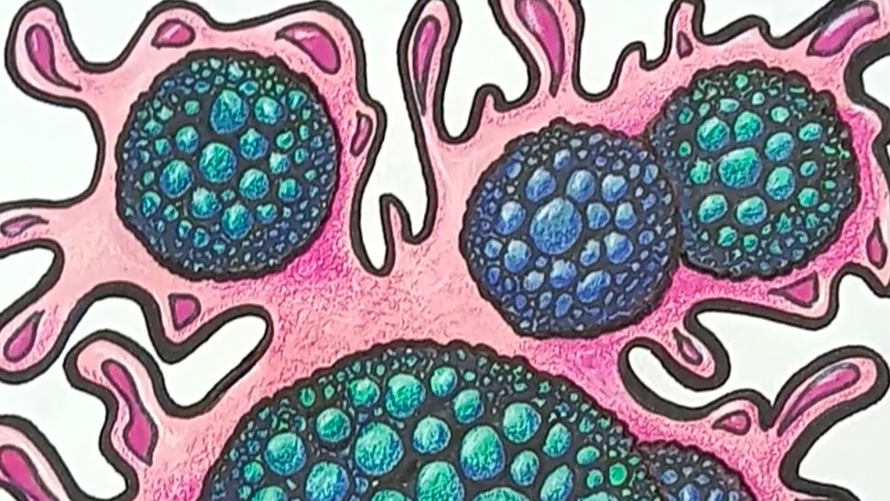 Drawing Doodle Tutorial - Cellular Level - YouTube