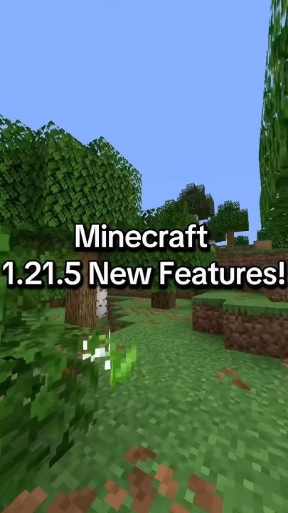 Minecraft 1.21.5 pre-release 2 new features! #minecraft #shorts # ...