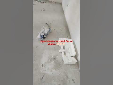 натяжники потолков свиньи - YouTube