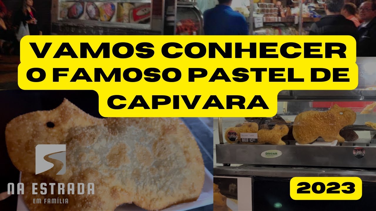 Pastel de Capivara? | Feira Noturna do Água Verde - YouTube
