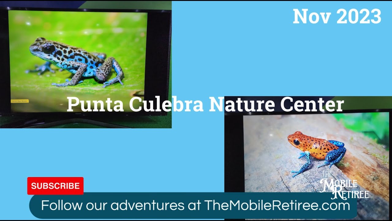 Punta Culebra Nature Center #panamacitypanama #smithsonian - YouTube