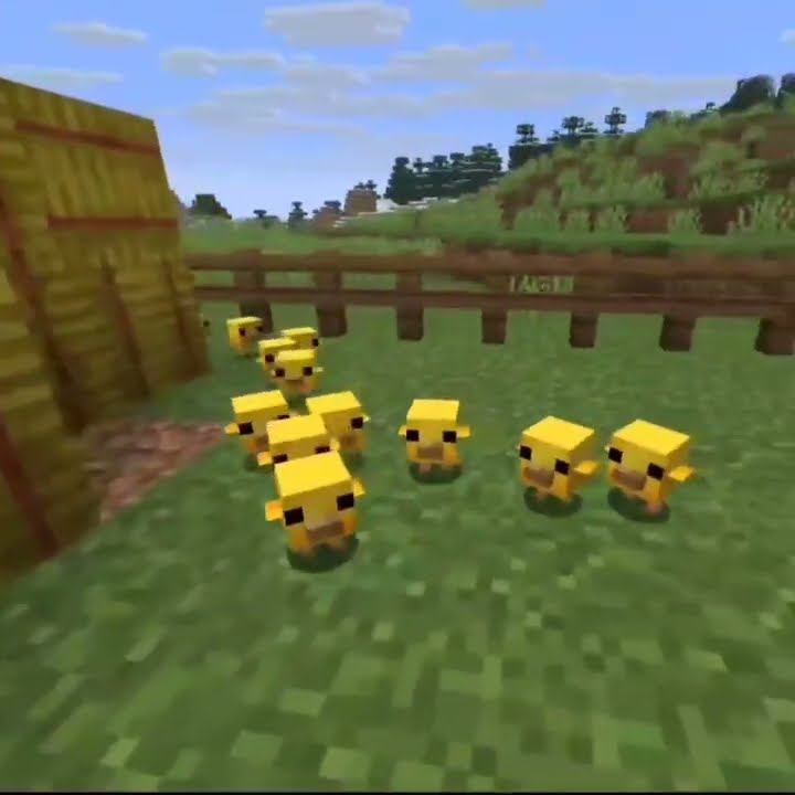 Minecraft Baby Chicken Sound #minecraft #shorts - YouTube