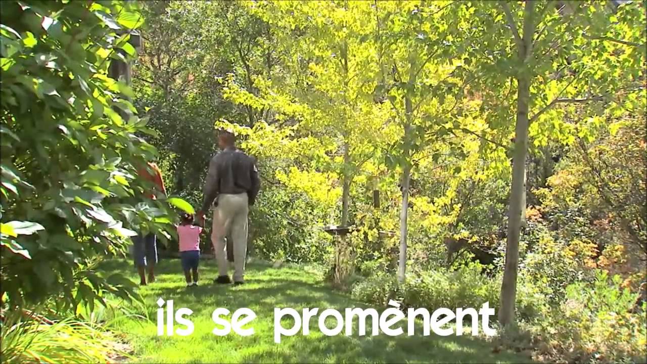 Học tiếng Pháp # Vocabulaire # ils se promènent - YouTube