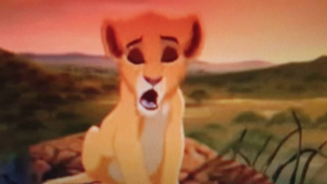 animal age opening - YouTube